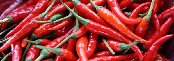 Chinese Food Culture // The 8 Great Chinese Cuisines